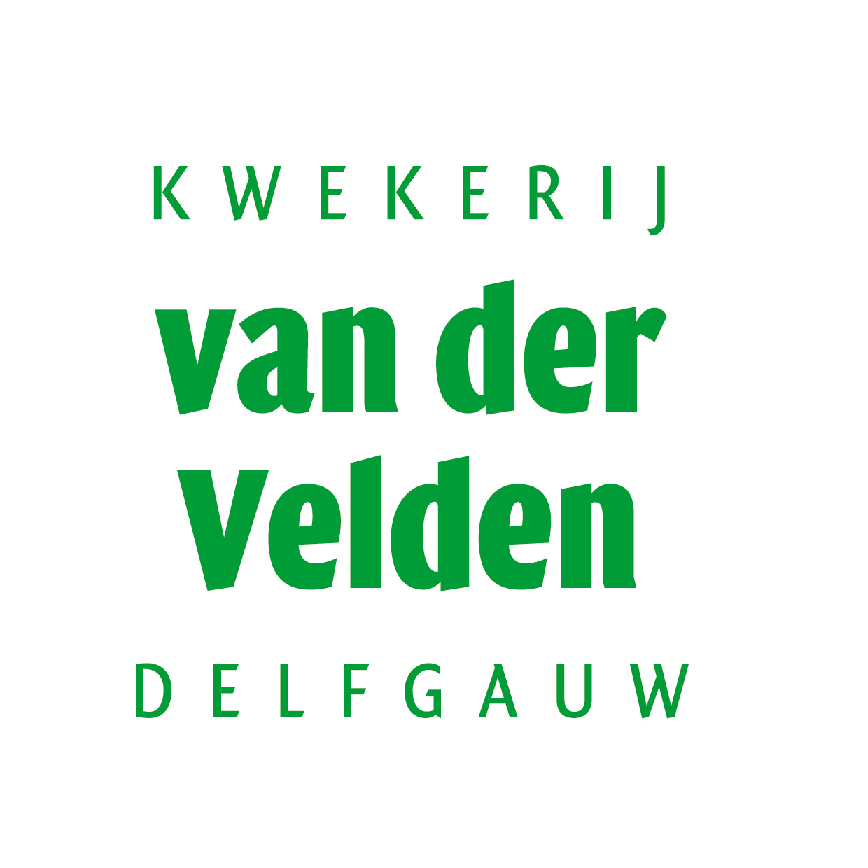 Potplantenkwekerij Fa. F van der Velden | Martin van der Velden